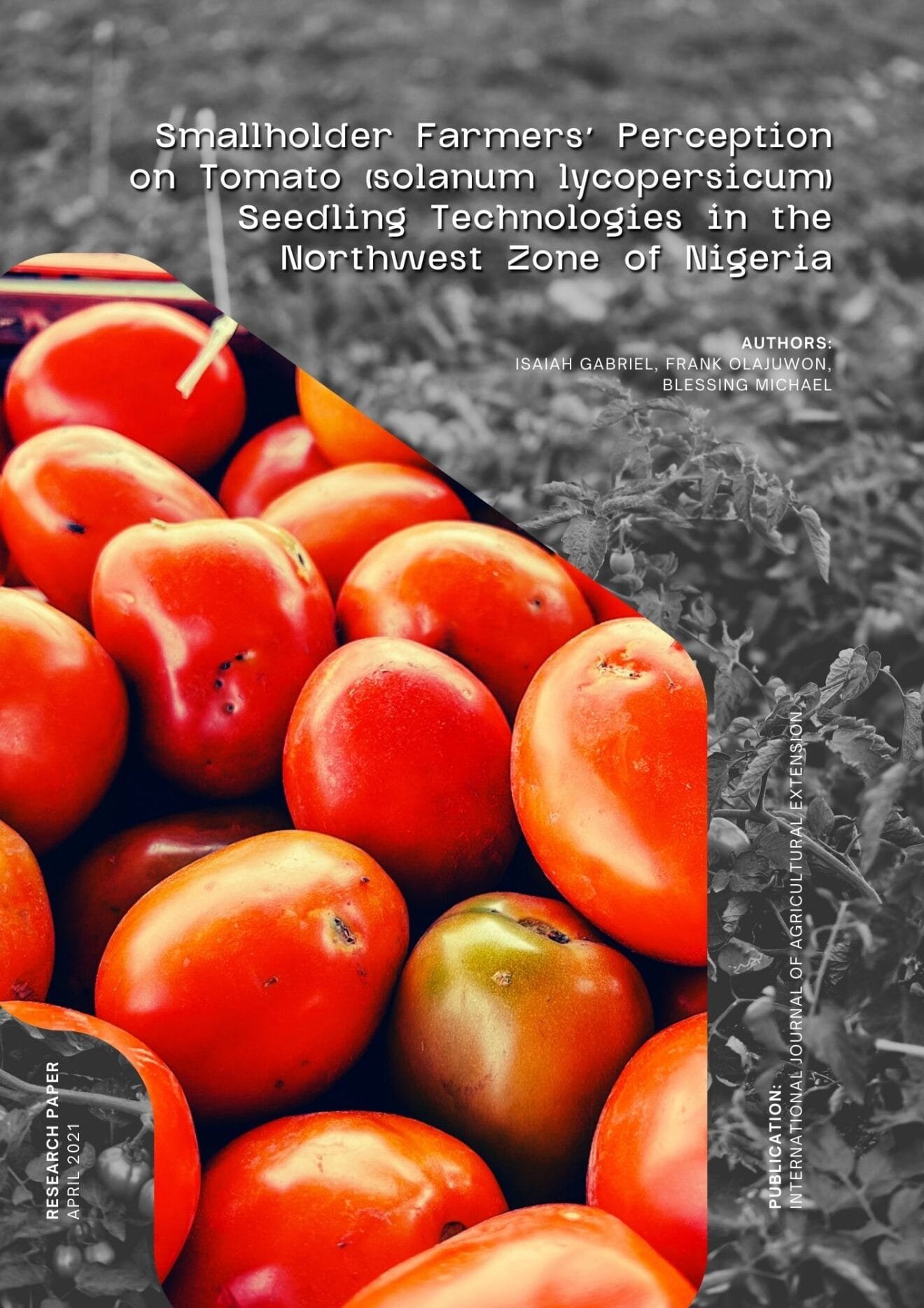 Smallholder’ Perception on Tomato Techs Study | FSSS Nigeria