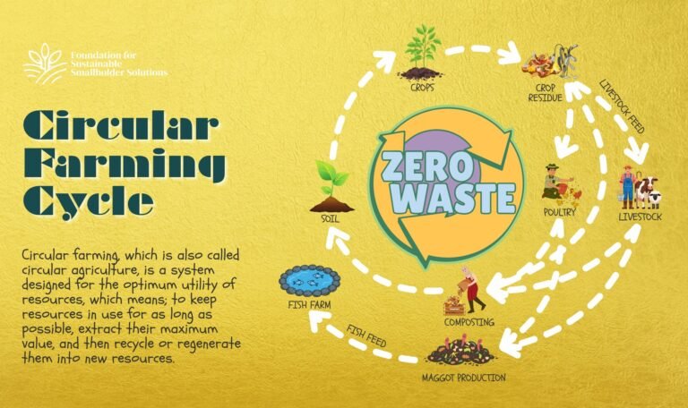 Circular Farming: From Waste to Resource | FSSS Nigeria